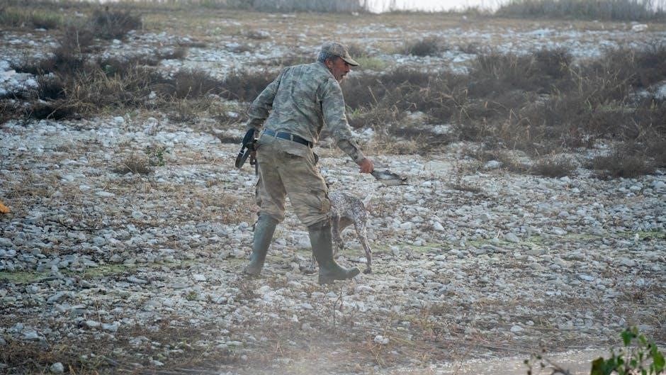 FFXI Dragoon Gear? We Got You! The *Ultimate* Guide is HERE!