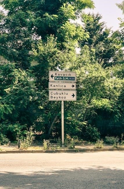 Cataclysm Archeology Guide: Uncover the Past